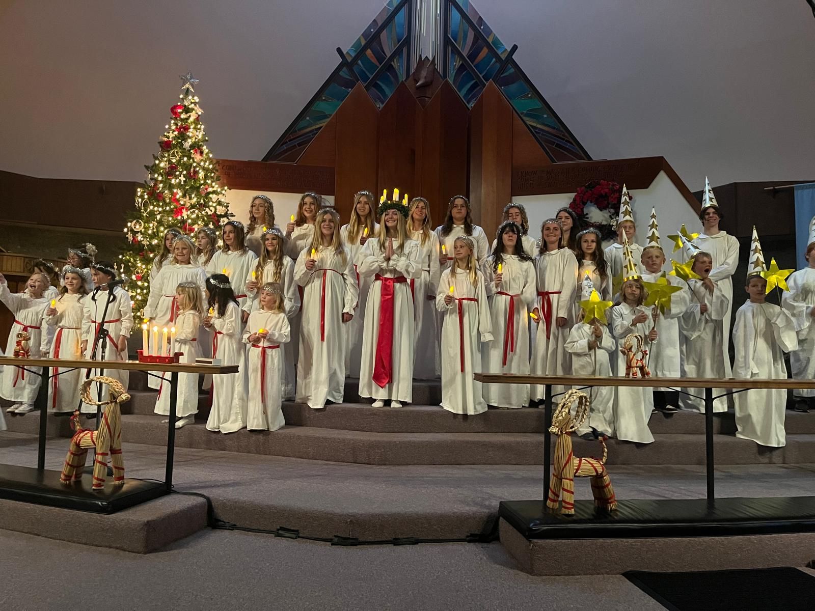 Scandinavian Cultural Center of Santa Cruz | Promoting Nordic Culture